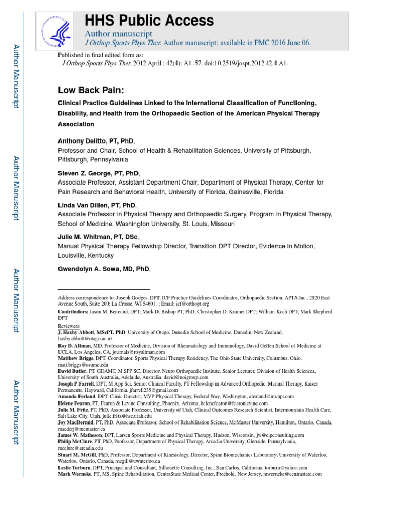 Low Back Pain | PDF | Low Back Pain | Physical Therapy