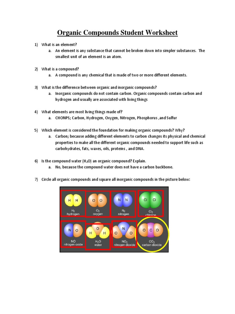 Organic Compounds Basics for Students | PDF | Organic Compounds ...