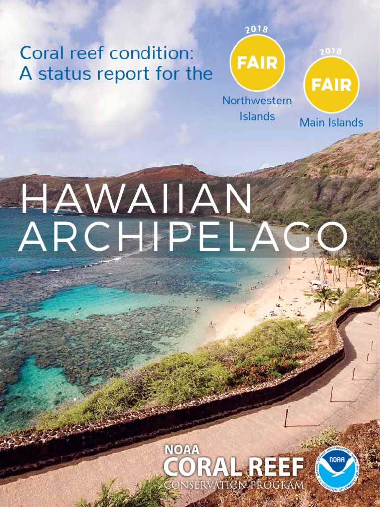 NOAA Status Report On Coral Reefs | PDF | Coral Reef | Coral