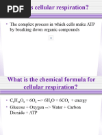 Answer Key Cellular Respiration Pogil | PDF | Cellular Respiration ...