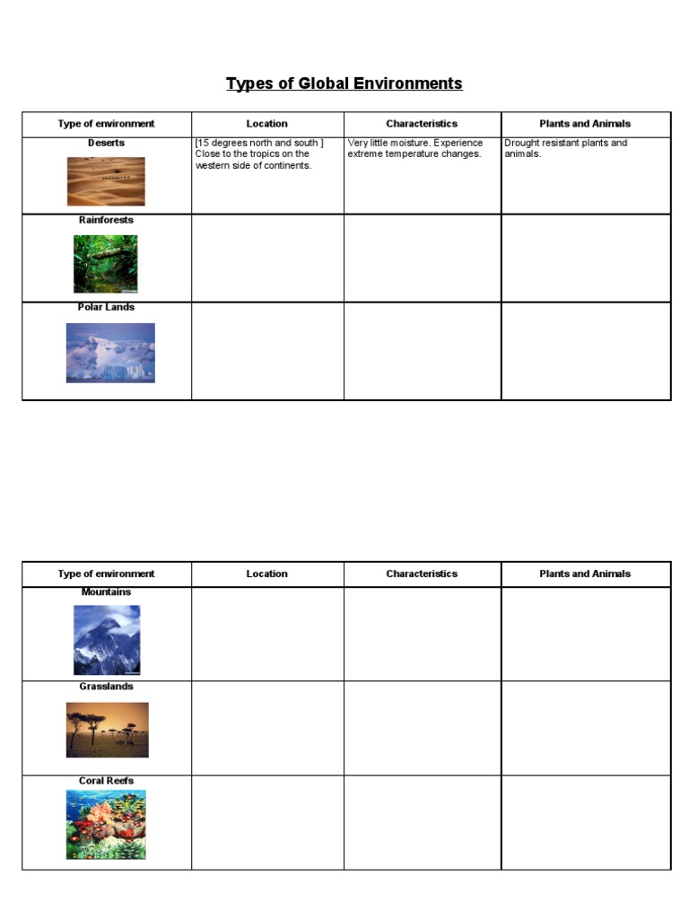 Types of Global Environments - Worksheet | PDF | Home & Garden