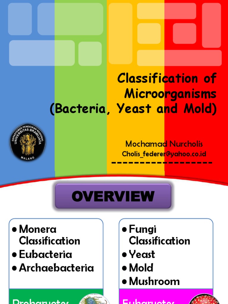 2 Classification of Bacteria Yeast and Mold | PDF | Bacteria | Prokaryote