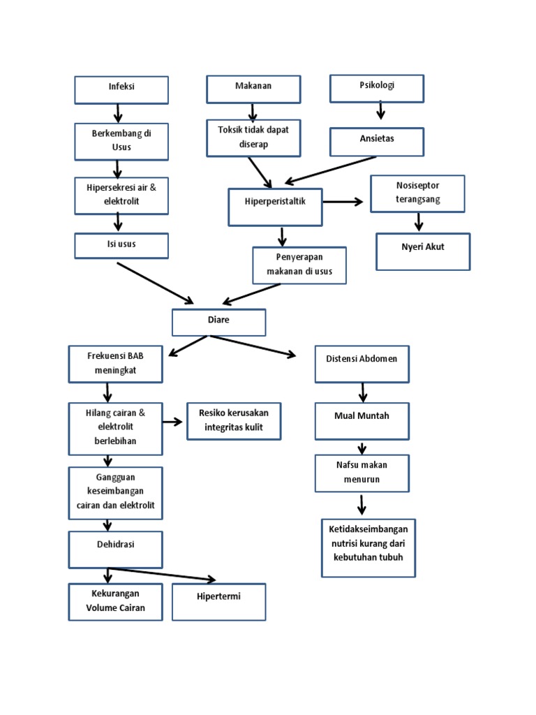 Pathway Diare dan Komplikasinya | PDF