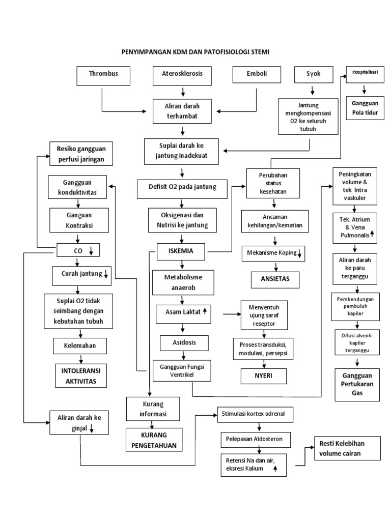 Penyimpangan KDM Dan Patofisiologi Stemi | PDF