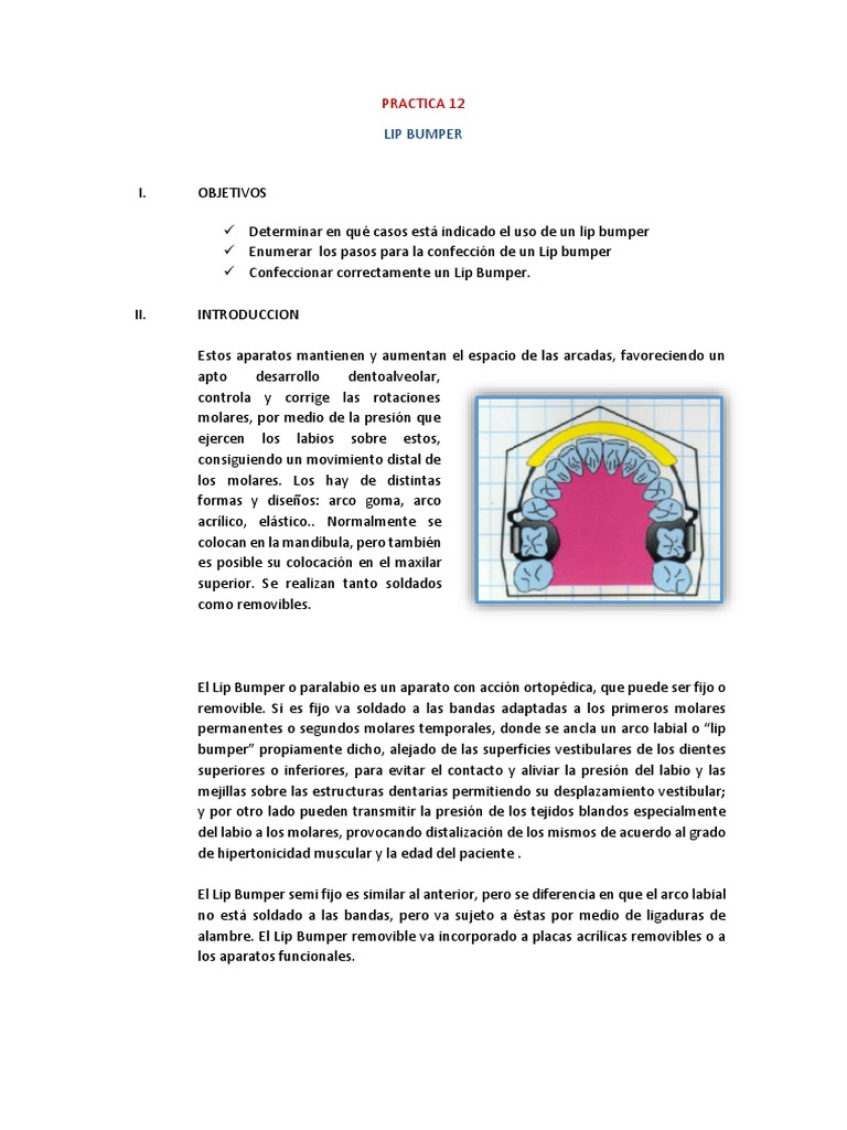 Lip Bumper | Odontología | Diente
