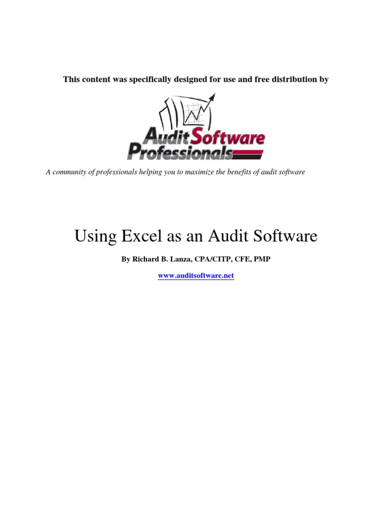 Excel Audit Software | PDF | Microsoft Excel | Working Capital