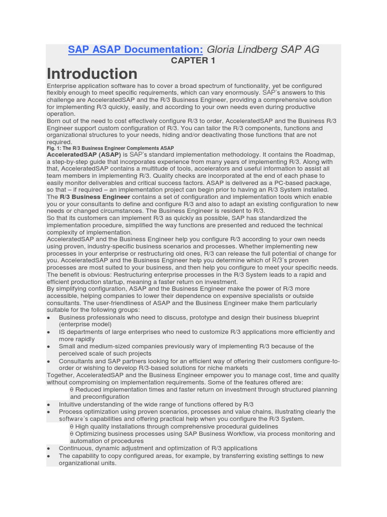 SAP ASAP Documentation | Download Free PDF | Business Process | Project ...