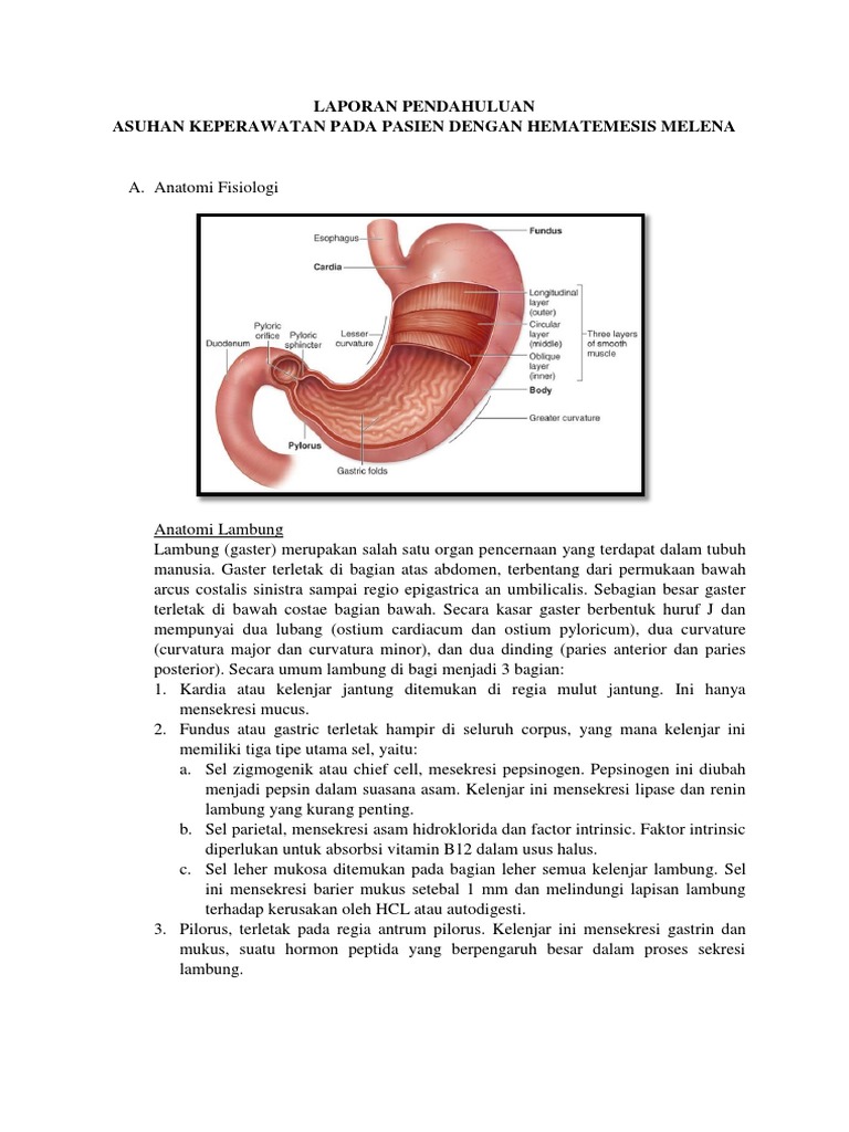 LP Hematemesis Melena | PDF