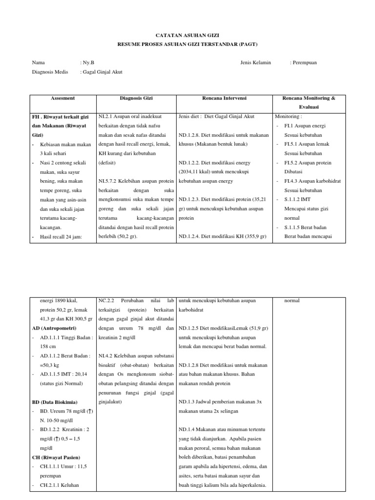 Kasus 9 - NCP Gagal Ginjal | PDF