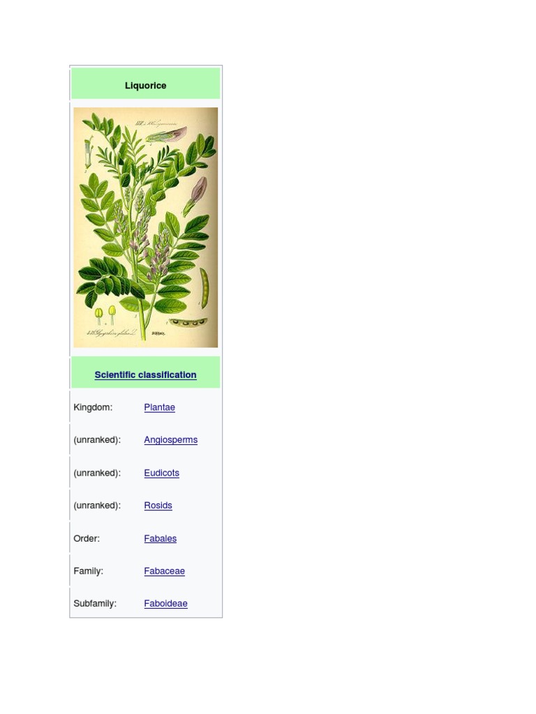 Liquorice: Scientific Classification | PDF | Wellness | Medical