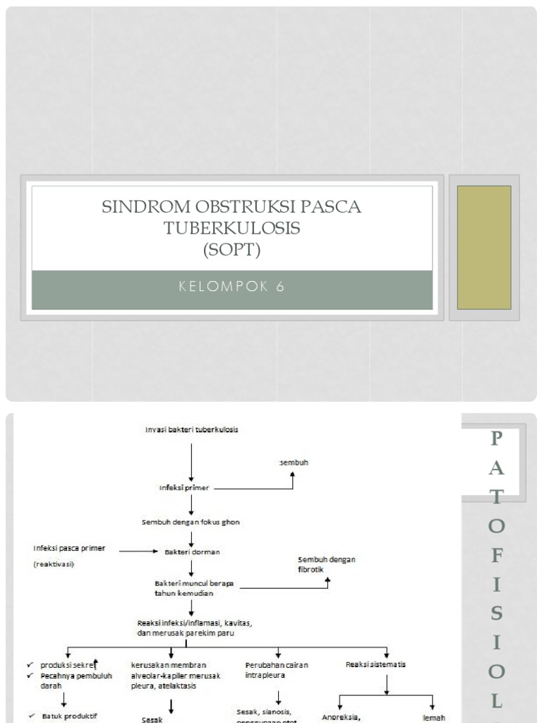 Sindrom Obstruksi Pasca Tuberkulosis | PDF