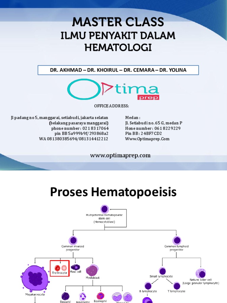 IPD - Hematologi | PDF