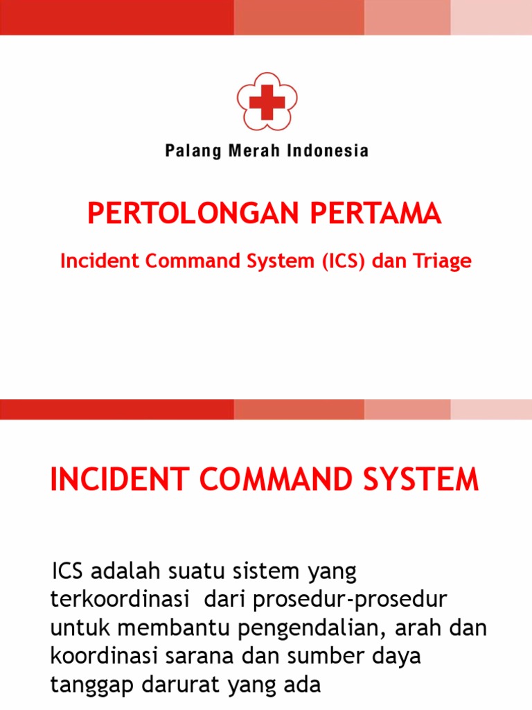 12.ics Triage | PDF