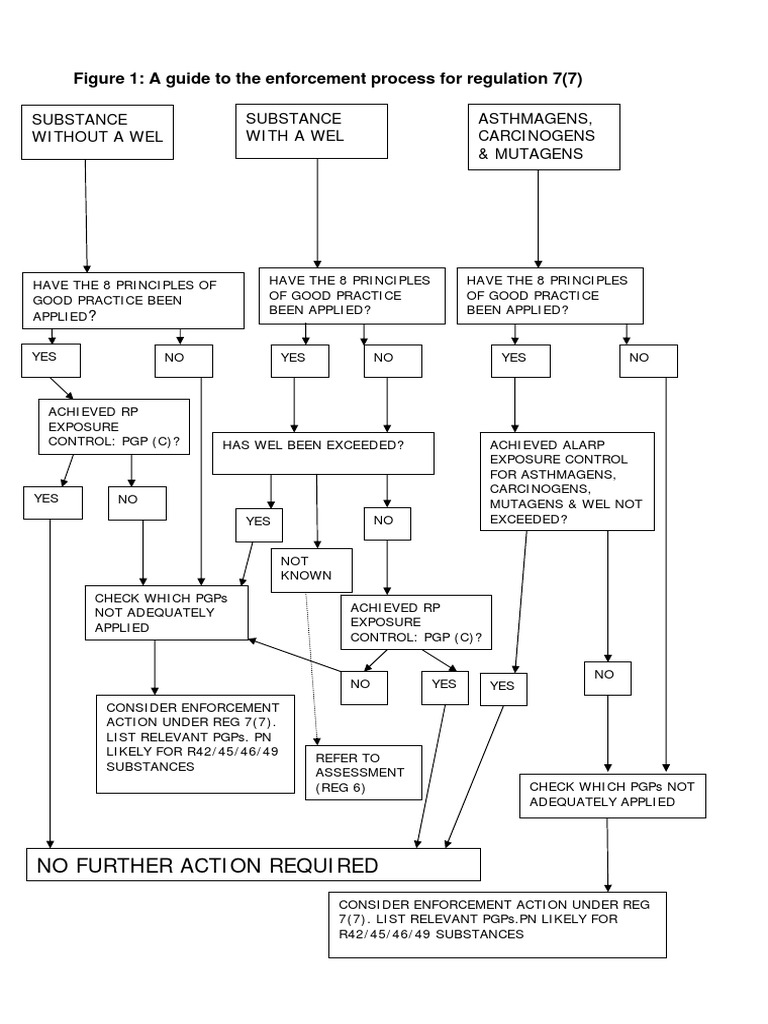 Guide To The Enforcement Process For Regulation | PDF