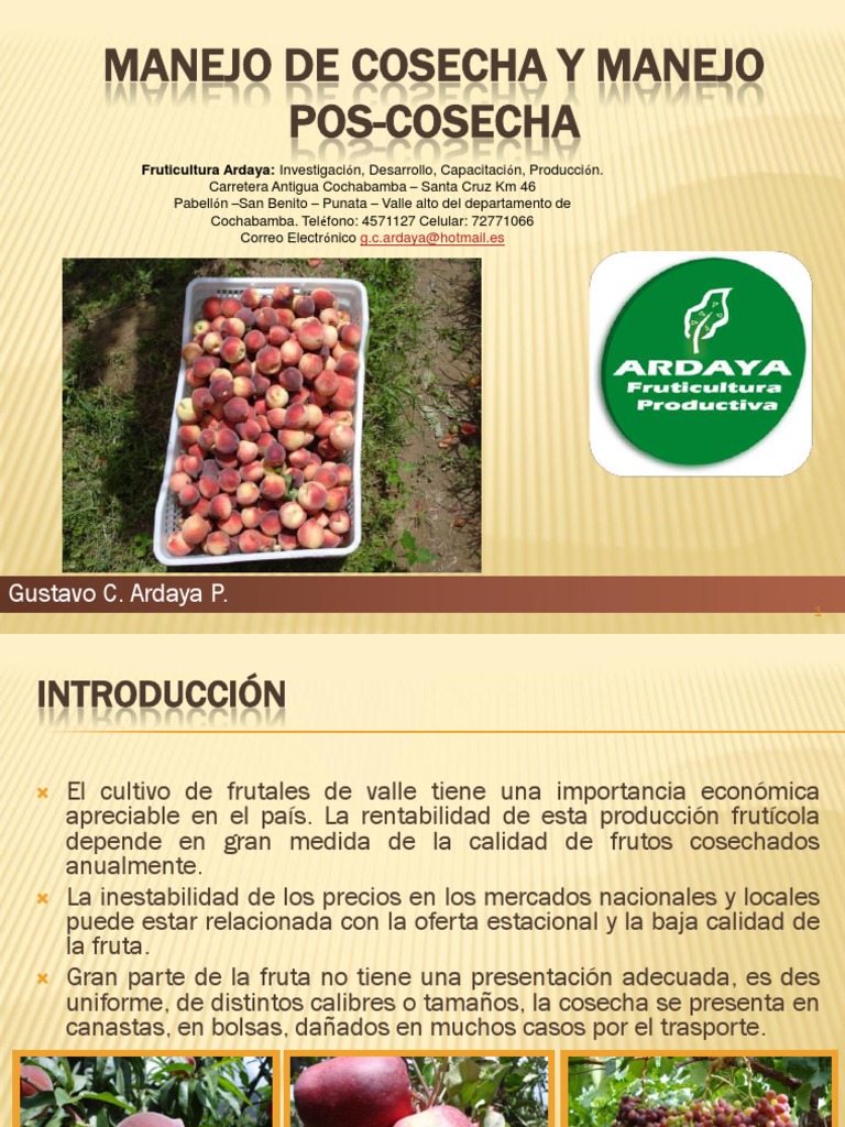 Manejo de Cosecha y Manejo Pos-Cosecha PDF | PDF | Precios | Business