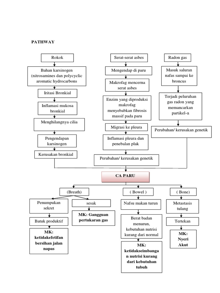 Woc Tumor Paru | PDF
