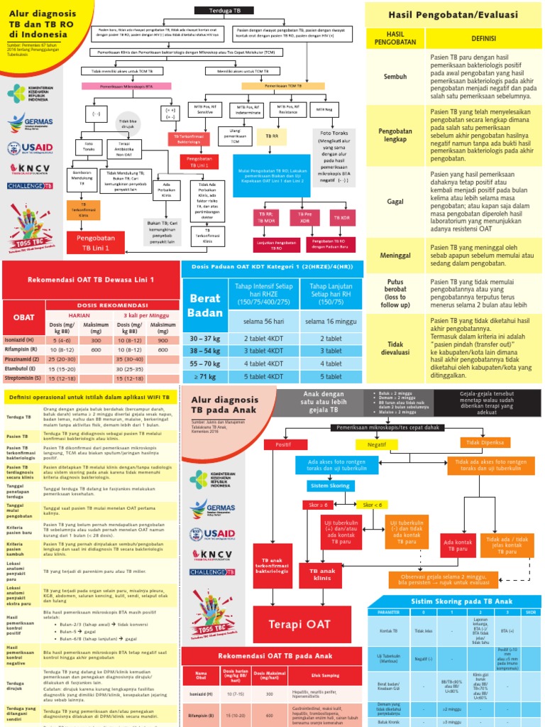 Poster Alur Diagnosis TB - Rev Subdit TB | PDF