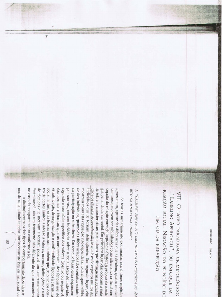 Criminologia Crítica e Crítica Do Direito Penal (Capítulo 7 ...