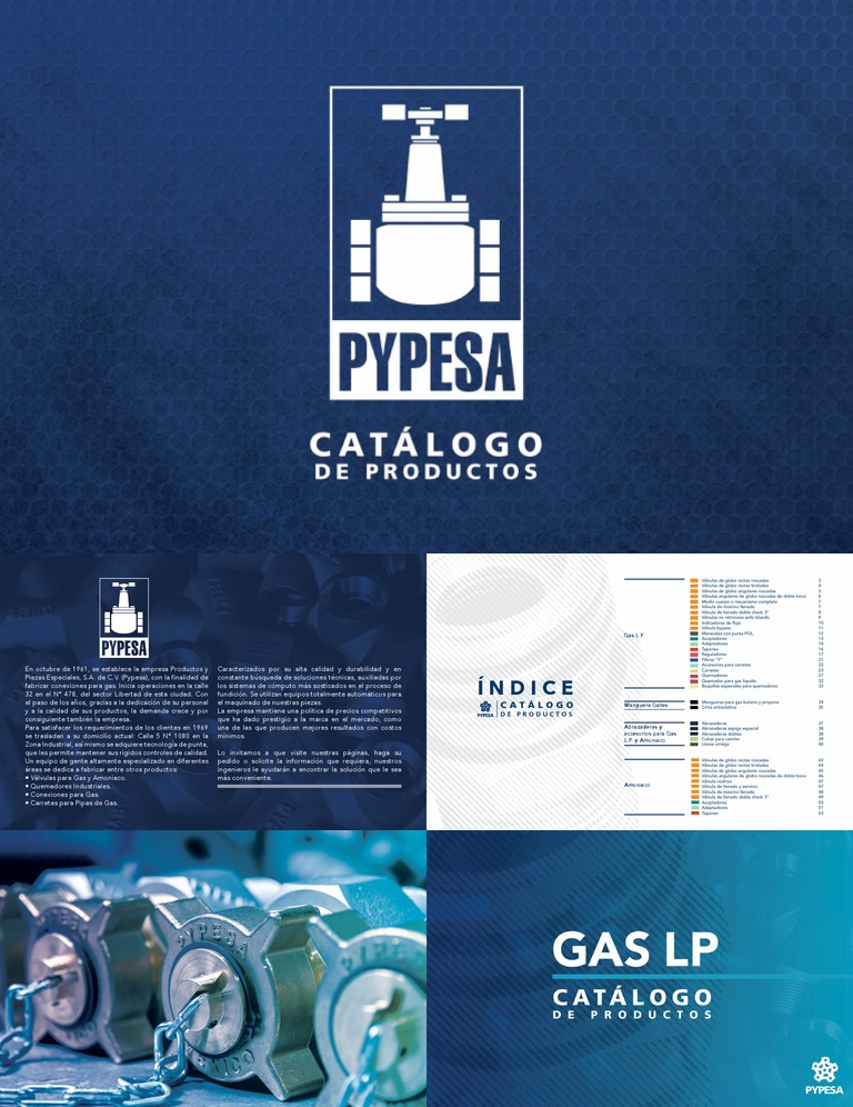CatalogoPYPESA PDF | PDF | Gases | Ingeniería mecánica