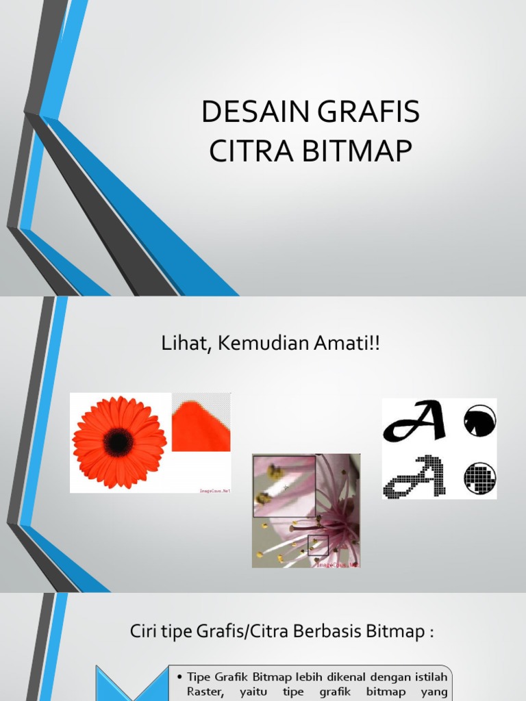 Citra Bitmap | PDF