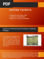 Sistemas de Roza y Quema en Agricultura | PDF | Los bosques | Agricultura