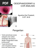 Anatomi Lengkap Esofagus | PDF