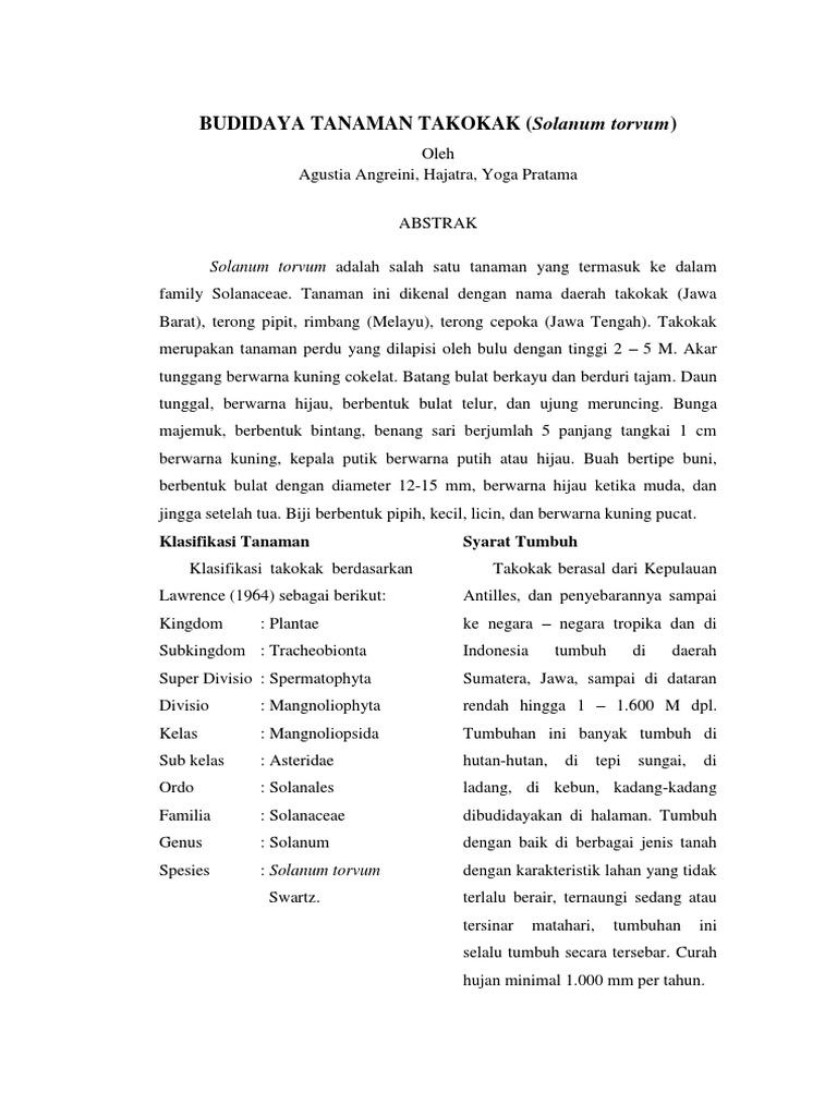 Budidaya Tanaman Takokak | PDF