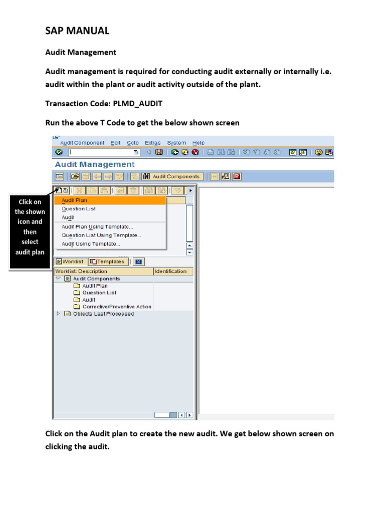 SAP Audit Management Process Guide | PDF | Audit | Information ...