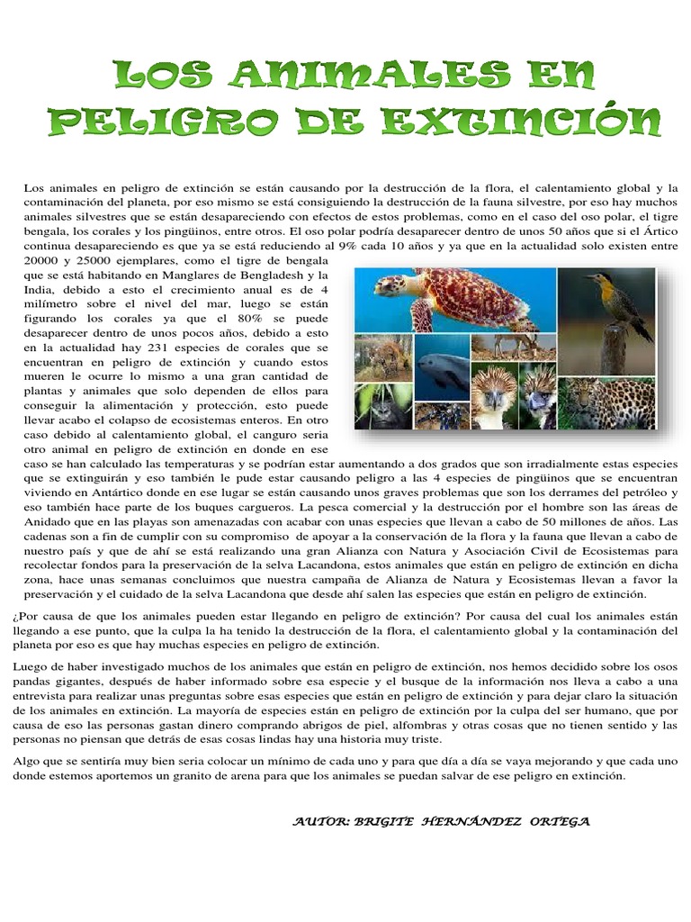 Articulo de Los Animales en Peligro de Extinción | Extinción ...