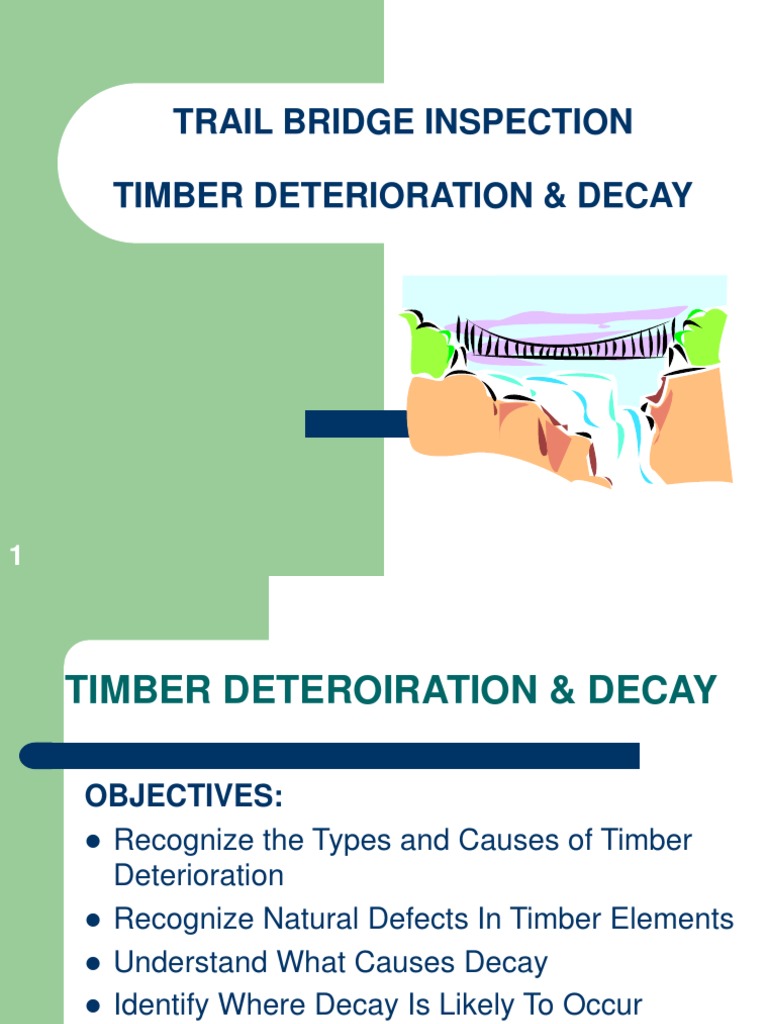 Trail Bridge Inspection Timber Deterioration & Decay | PDF | Wood ...