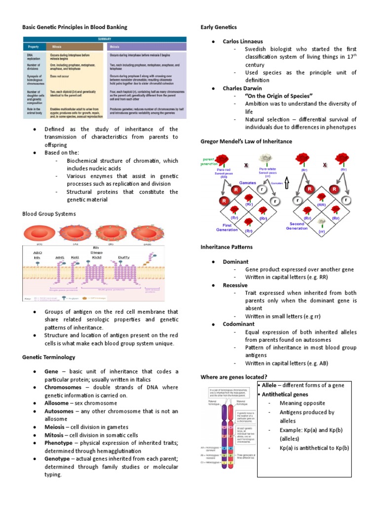 Genetic Principles in Blood Banking | PDF | Genetics | Dominance (Genetics)