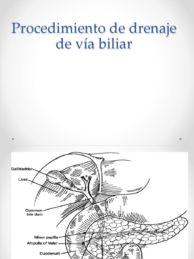 Procedimientos Quirúrgicos en Vías Biliares | PDF | Abdomen | Sistema ...