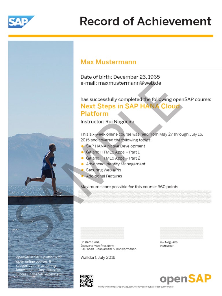 Record of Achievement PDF | PDF