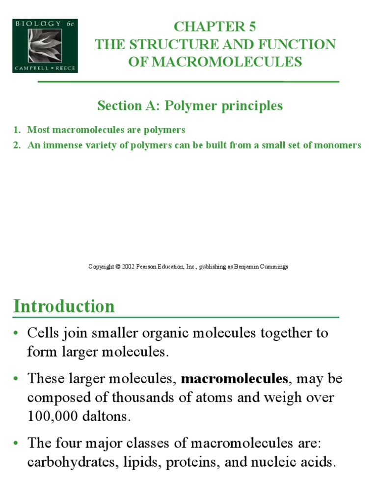 The Structure and Function of Macromolecules Section A: Polymer ...