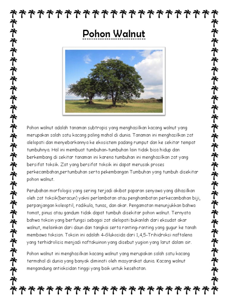 Pohon Walnut | PDF