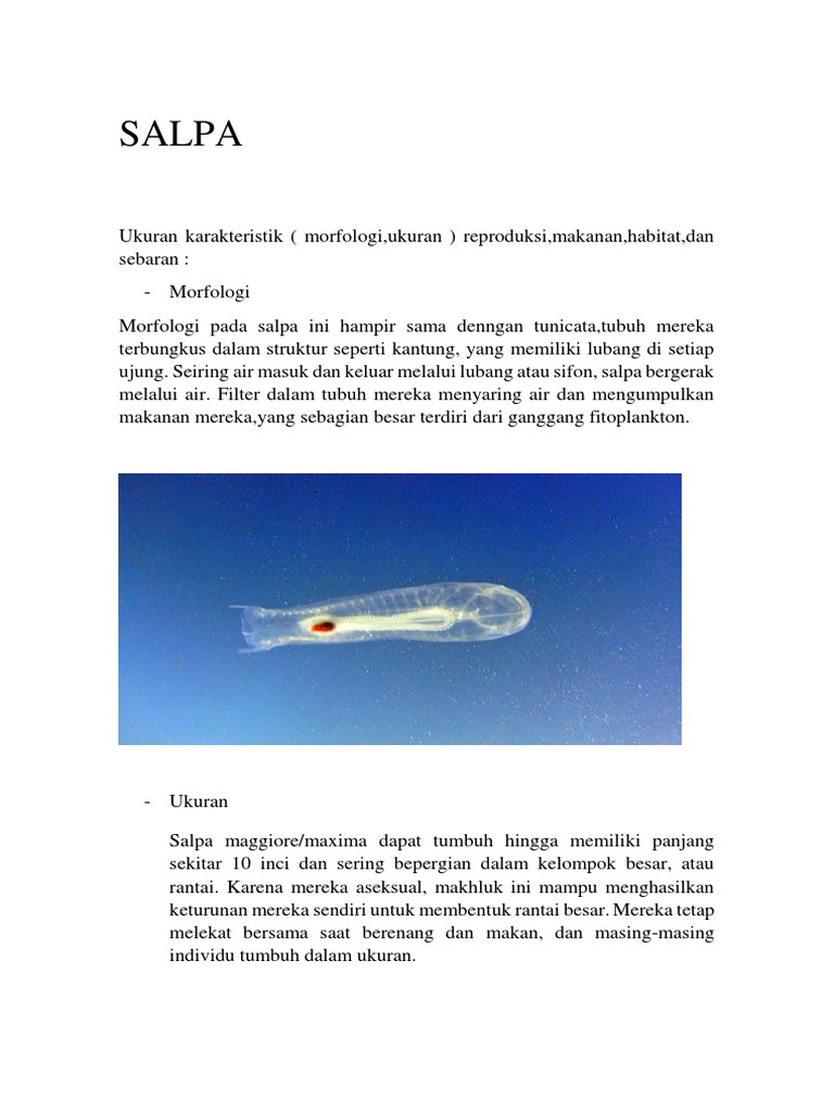 SALPA | PDF | Sains & Matematika