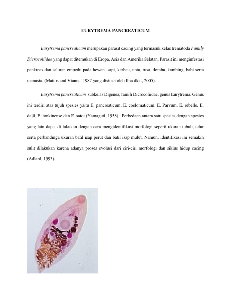 Eurytrema Pancreaticum | PDF