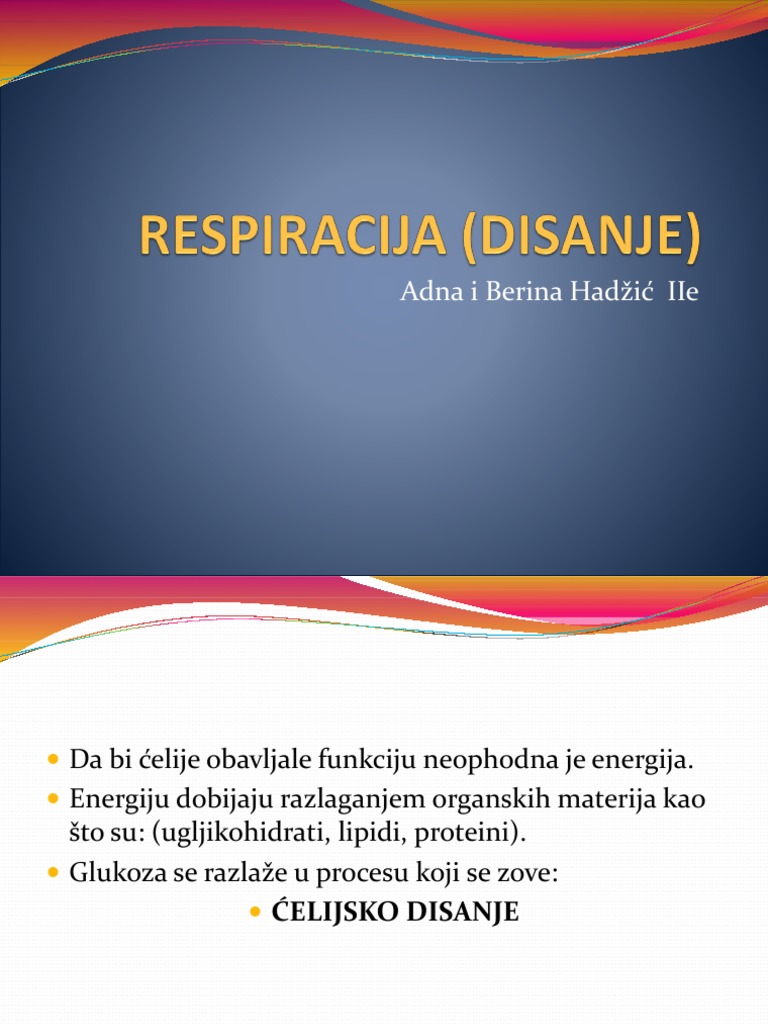 Respiracija (Disanje) | PDF