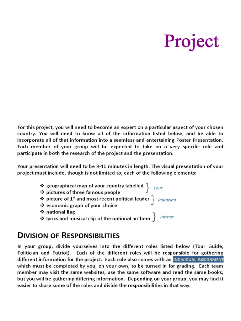 Country Project Roles and Requirements | PDF | Politics | Social Science