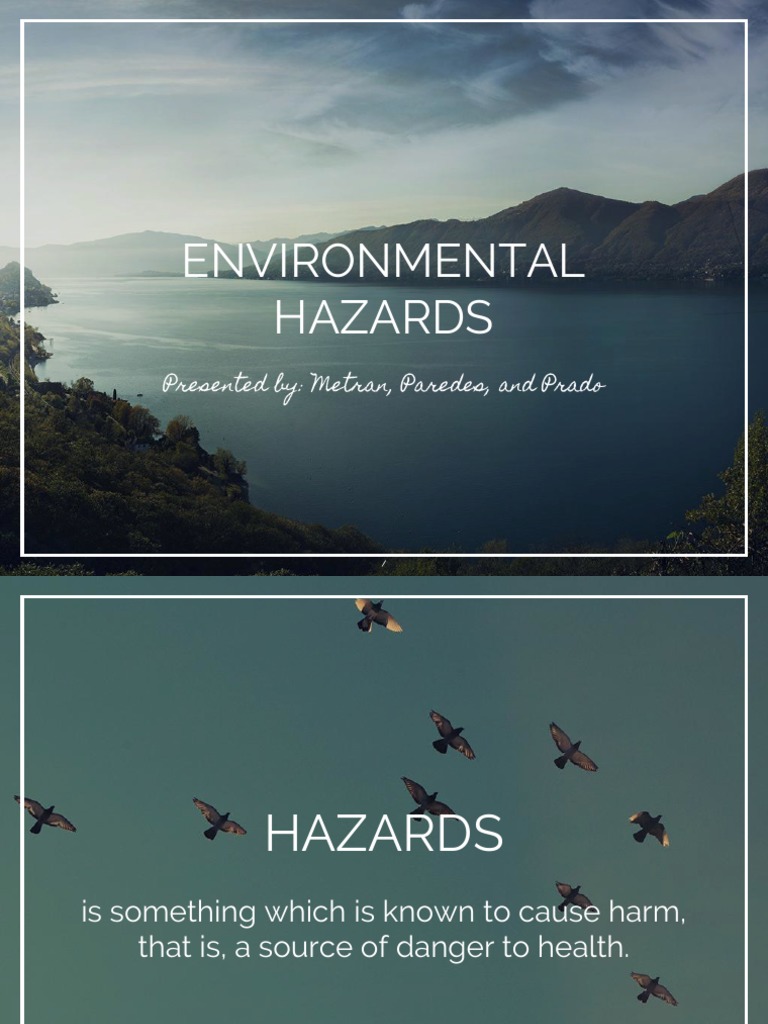 Pe Environmental Hazards | PDF | Hazards | Topical Medication
