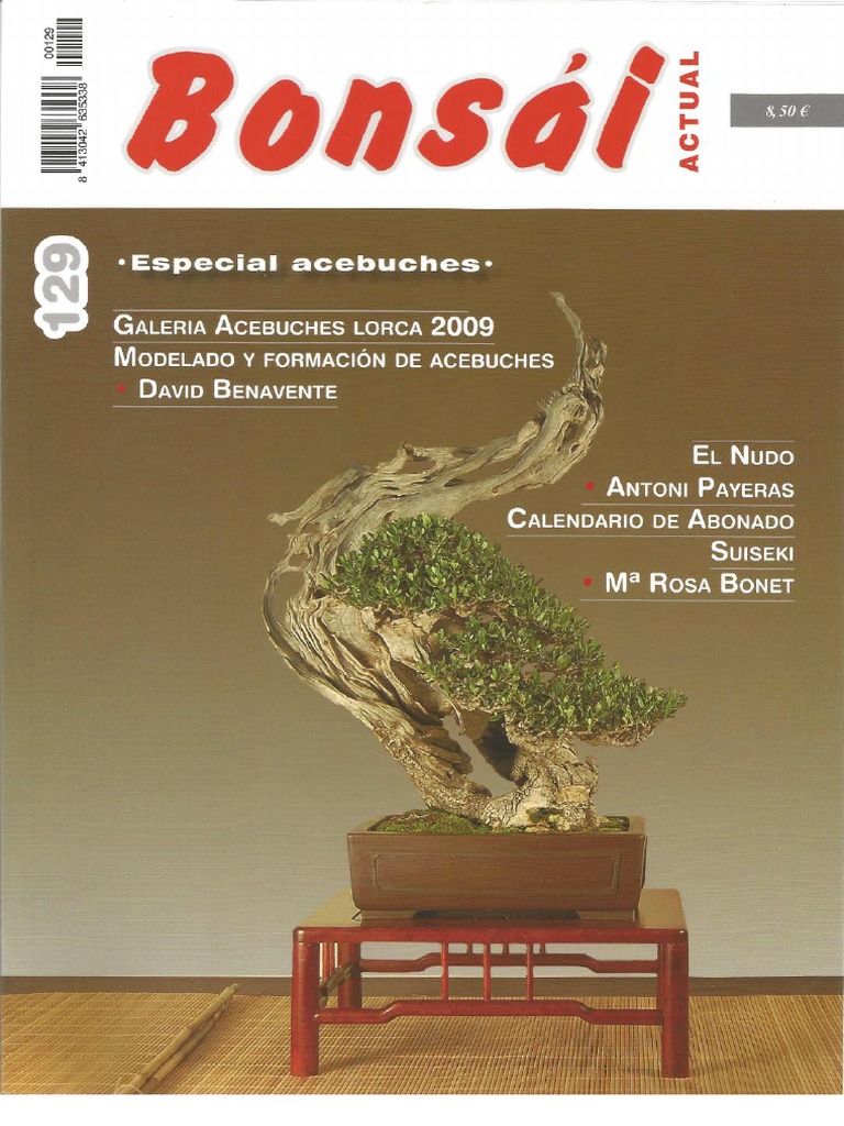 Bonsai Actual PDF | PDF