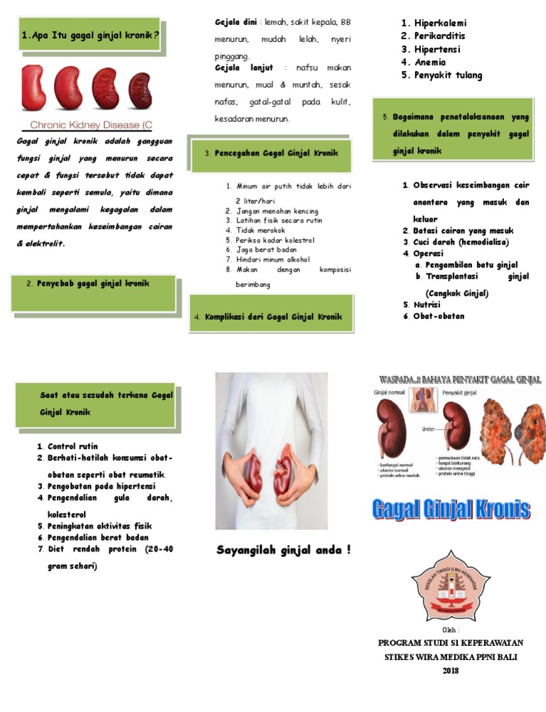 Leaflet CKD | PDF