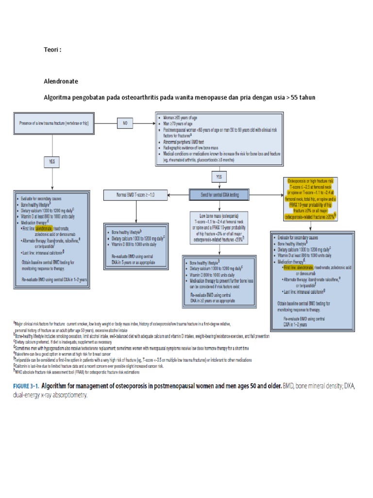 Teori Alendronat | PDF