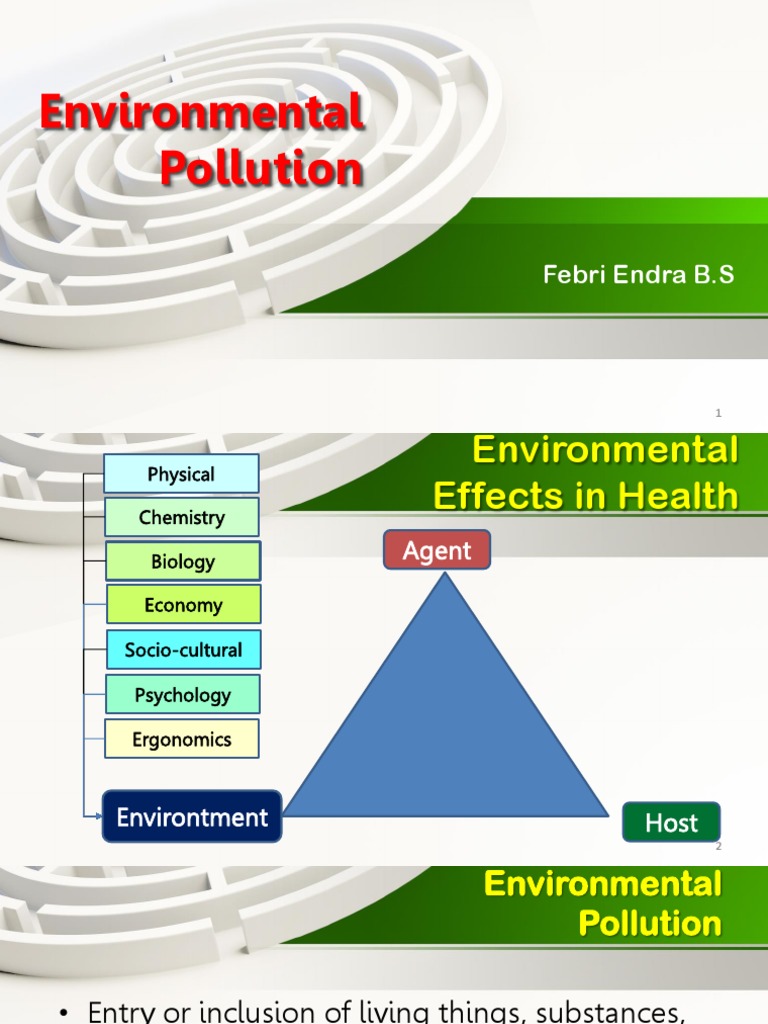 2018 Environmental Pollution | PDF