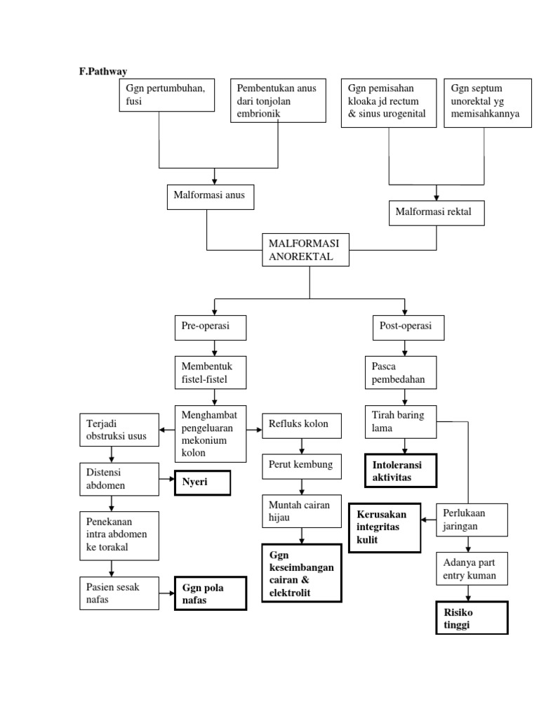 Malformasi Anorektal dan Komplikasinya | PDF