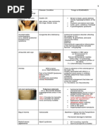 Last Day Events Study Guide | PDF | End Time | Jesus