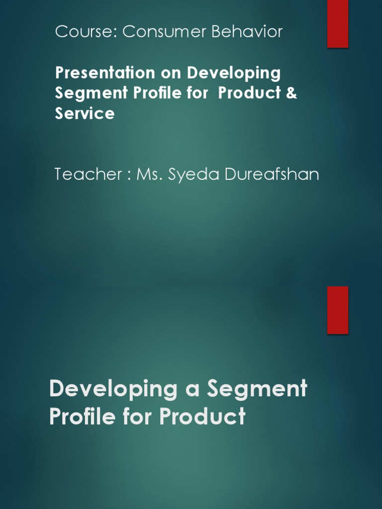 Presentation On Developing Segment Profile For Product & Service | PDF ...