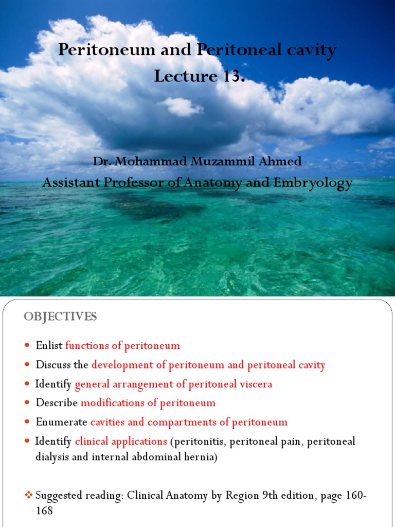 Peritoneum and Peritoneal Cavity | PDF | Peritoneum | Liver