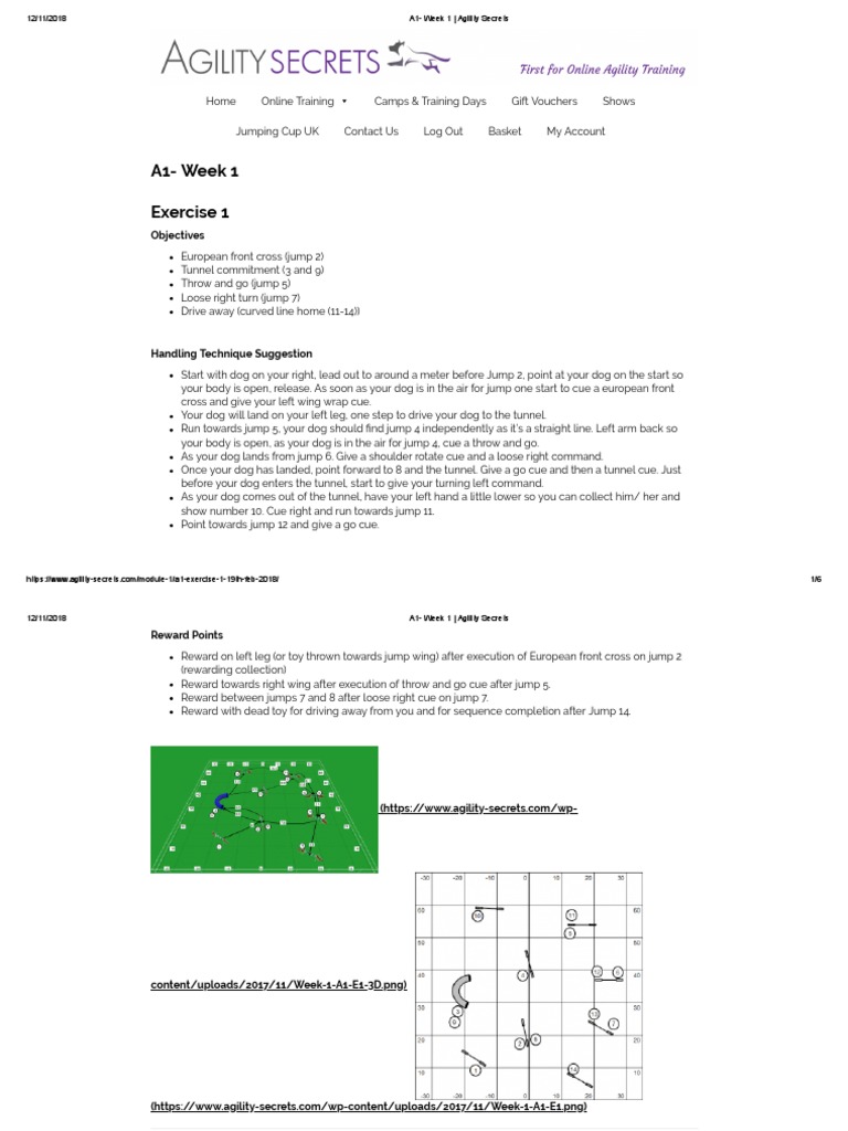 Dog Agility A1 | PDF | Sports | Leisure