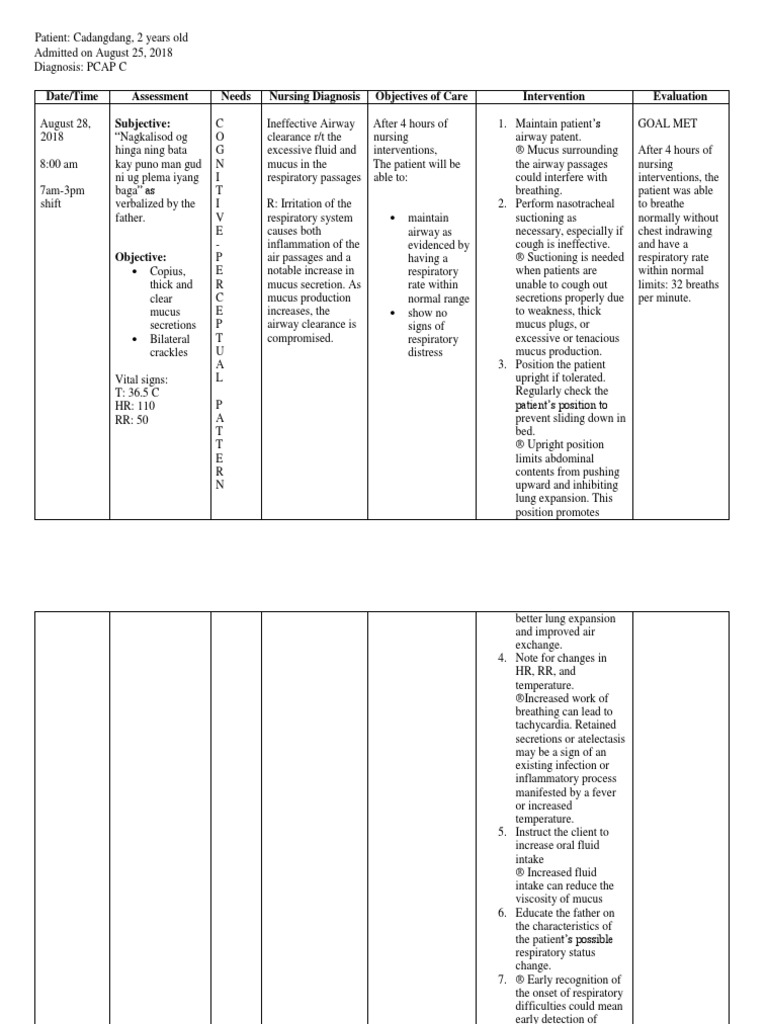 NCP Ineffective Airway Clearance Child | PDF | Respiratory Tract | Lung